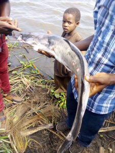 Un pécheur de Kirundo parle de la pêche sur le lac Rweru – Ihanga ry Imana